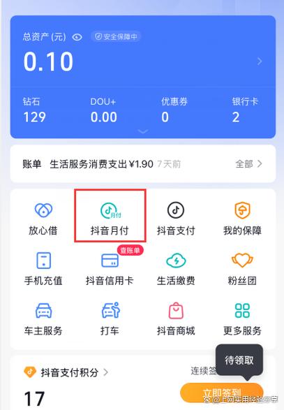 银行卡明细里显示抖音支付图标