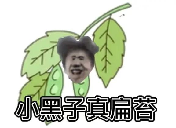 小黑子ikun顺口溜图标