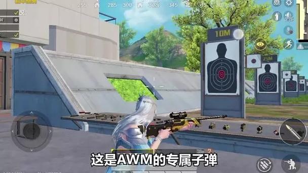 和平精英100发子弹是什么枪图标