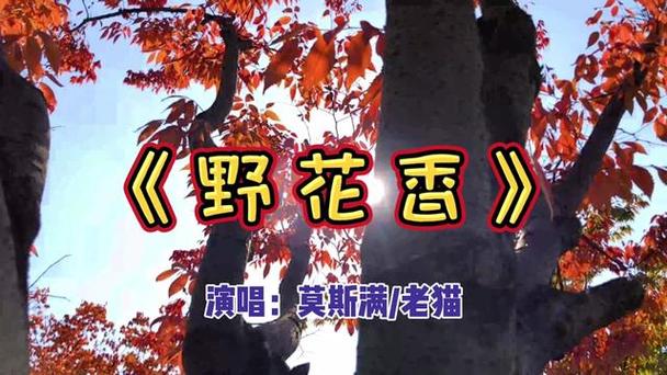 野花香的歌曲原唱图标