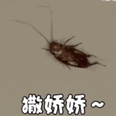 蟑螂GIF图标