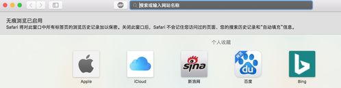 safari 无痕模式图标