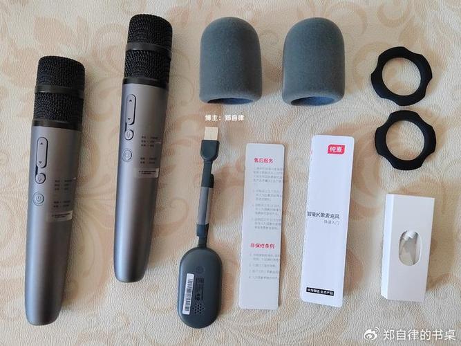 纯麦麦克风配对游戏截图