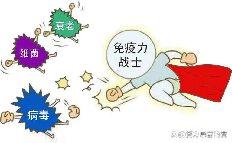 免疫系统搞笑图片
