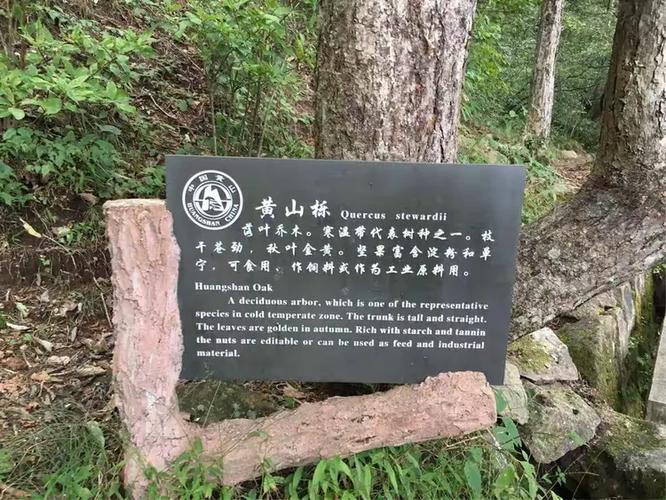 安徽光明市属于哪个市?图标