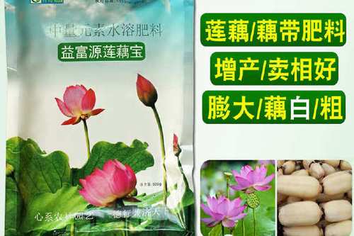 莲藕用什么肥料最好图标