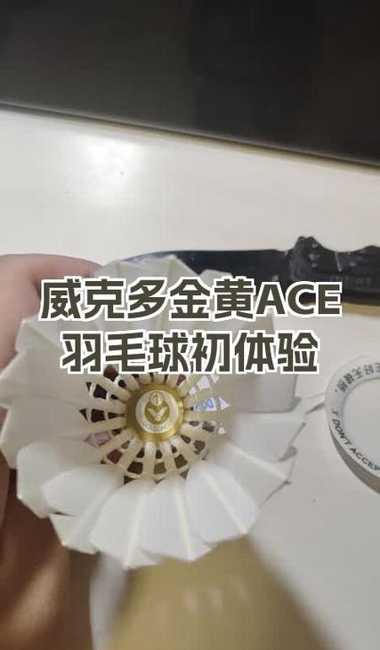 维克多几号球最好截图