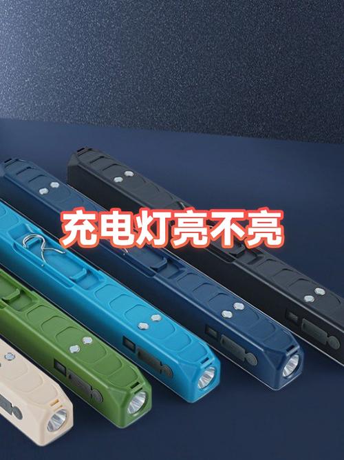 手提灯充电指示灯不亮原因截图
