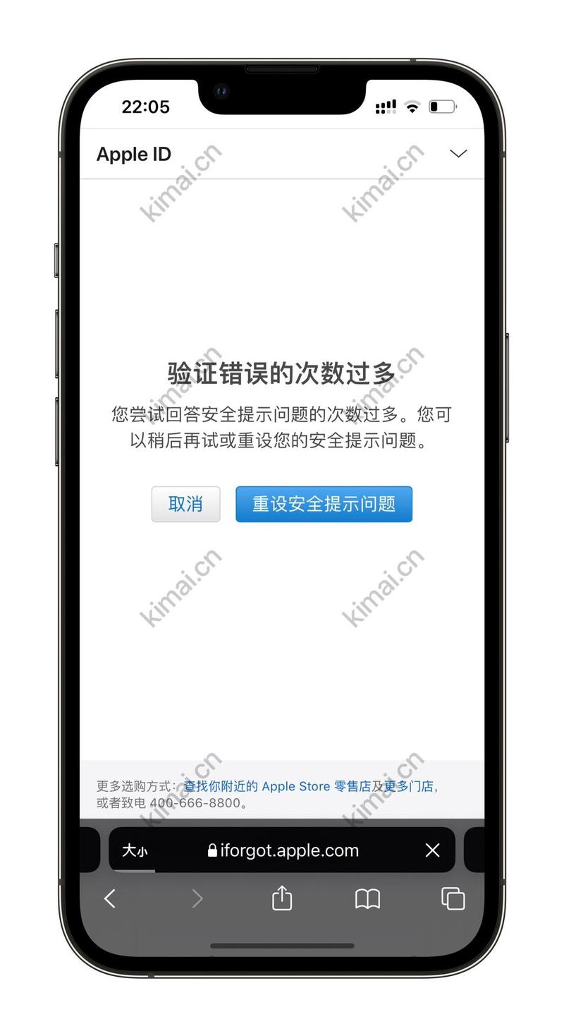 苹果商店输入错误次数过多图标