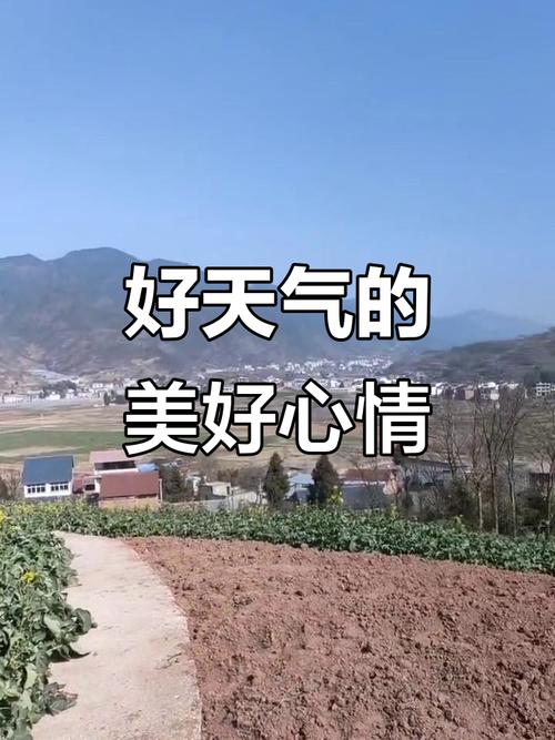 天气快乐截图