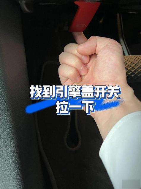 开关面板上面的盖子图标