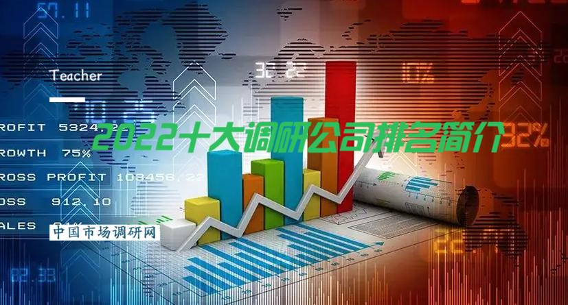 中国十大市场调研公司图标