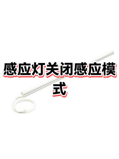 入户感应灯一直亮怎么关闭图标