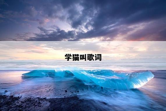 学猫叫歌曲原唱歌词图标
