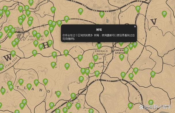 荒野大镖客2草药大师2 4种浆果截图