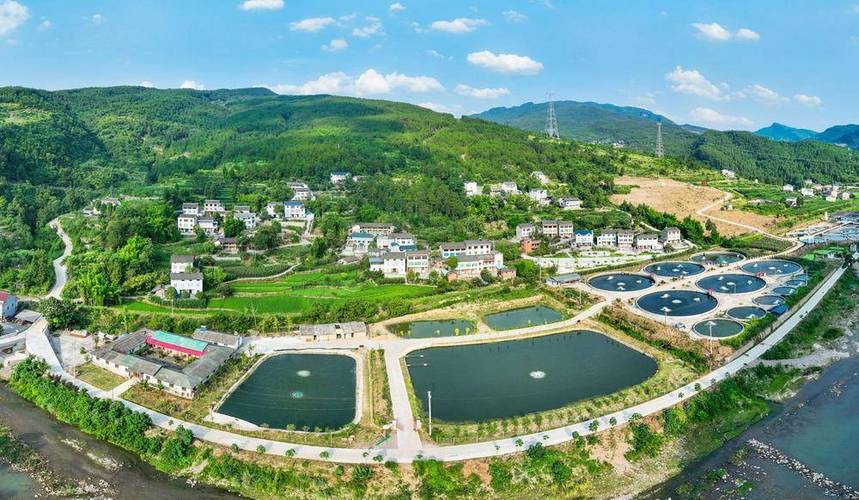 农村生态养殖前景图标