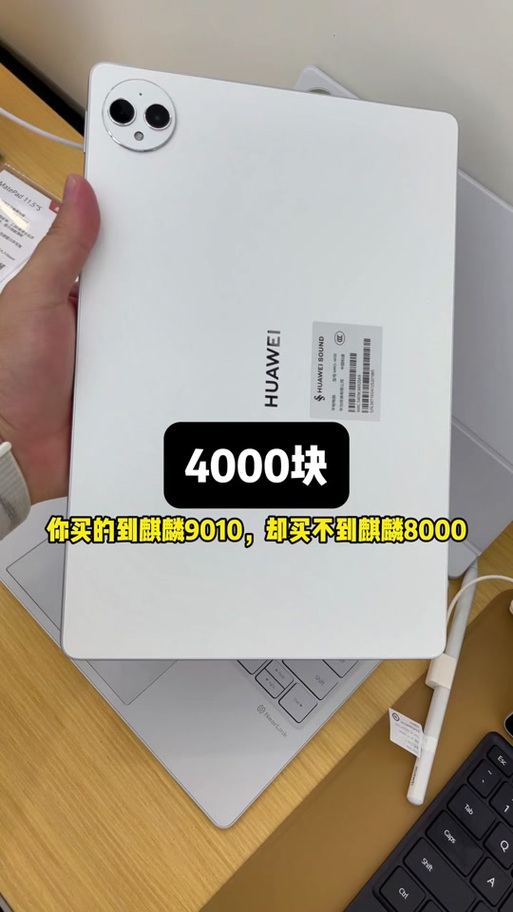 麒麟9010和麒麟9000图标
