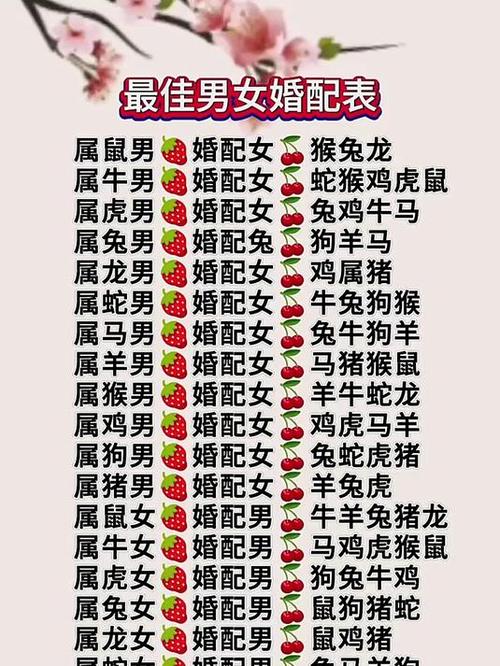 最佳配对图标