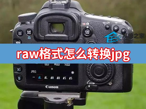佳能相机raw和jpg格式怎么设置图标
