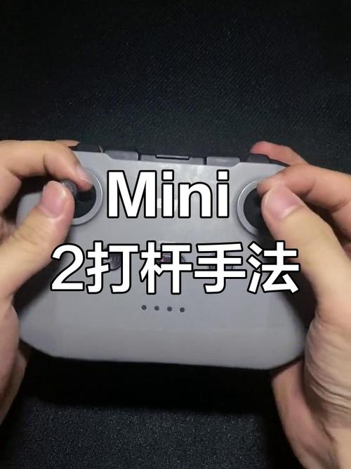 大疆mini2使用说明图标