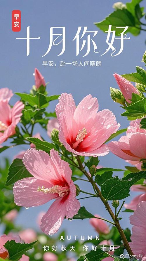 开开心心红红火火快快乐乐平平安安图标