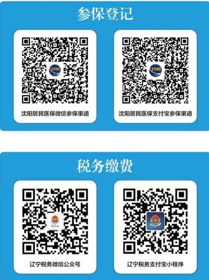 辽宁税务医保缴费app图标