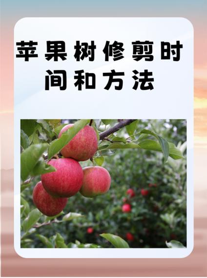 苹果照片视频怎么修剪