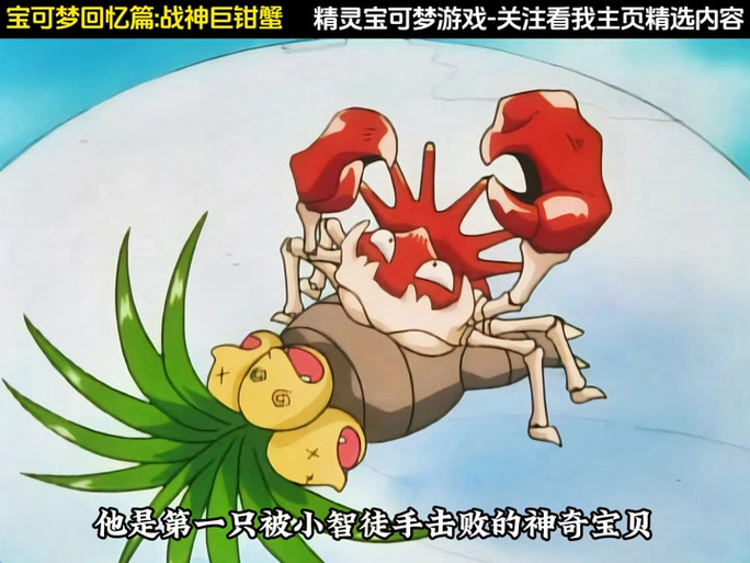 小智最强的宝可梦排名图标