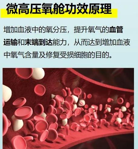 怎么提高血氧含量图标