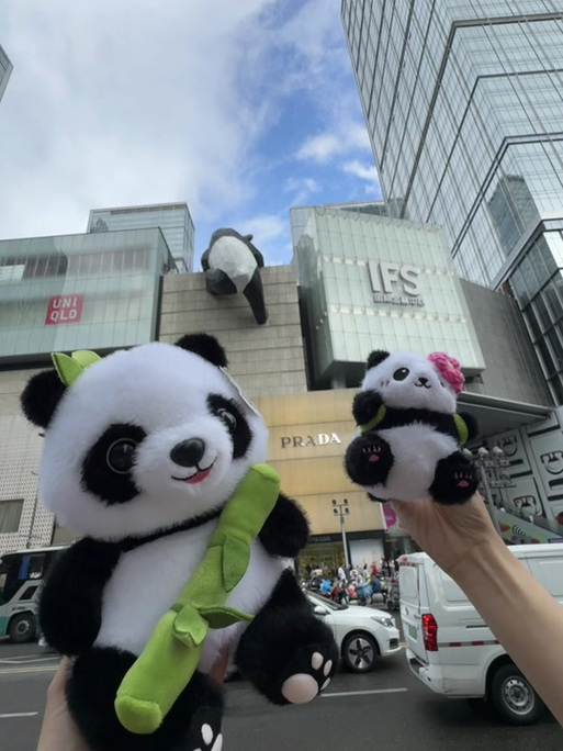 熊猫团购图标