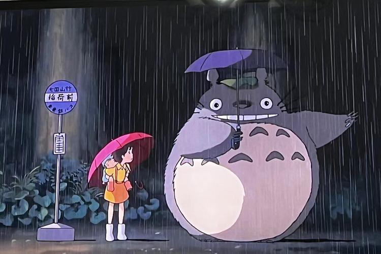 龙猫一个人会孤独吗