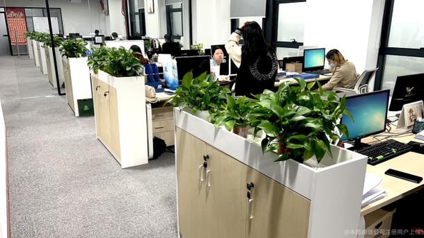 杭州易树企业管理有限公司截图