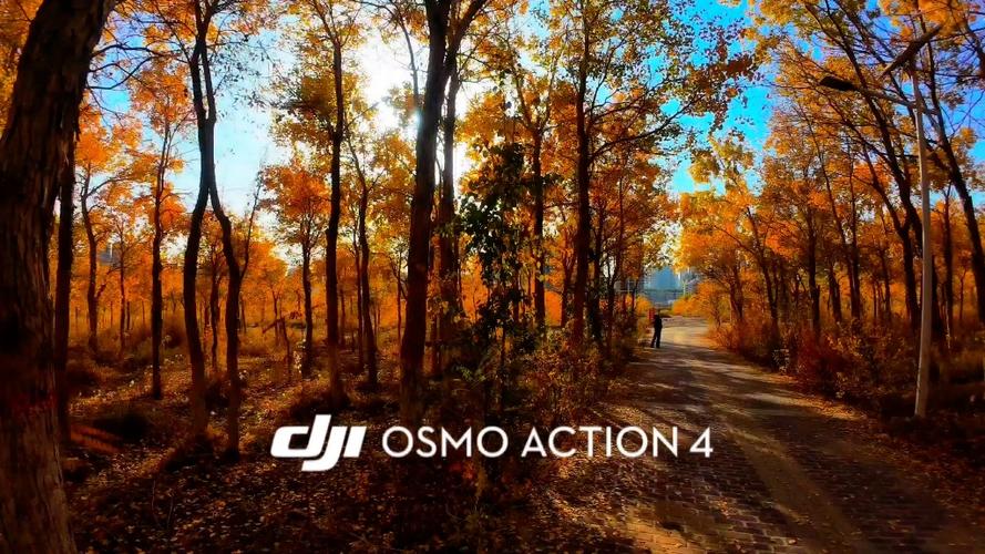 大疆action4拍照怎么样图标