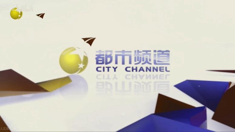 辽宁都市频道2008-2019图标