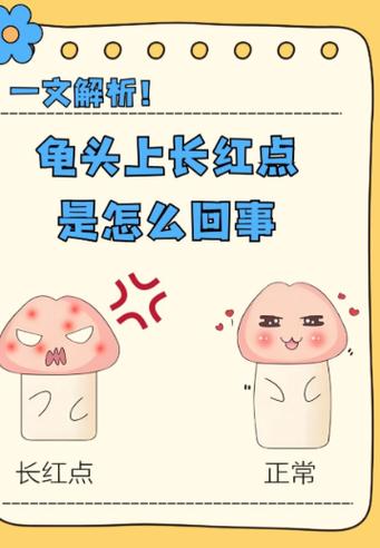 对乌龟过敏有哪些症状图标