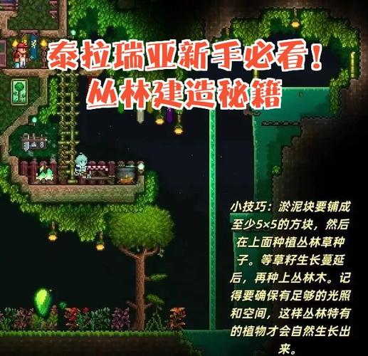 泰拉瑞亚秘籍作弊码图标