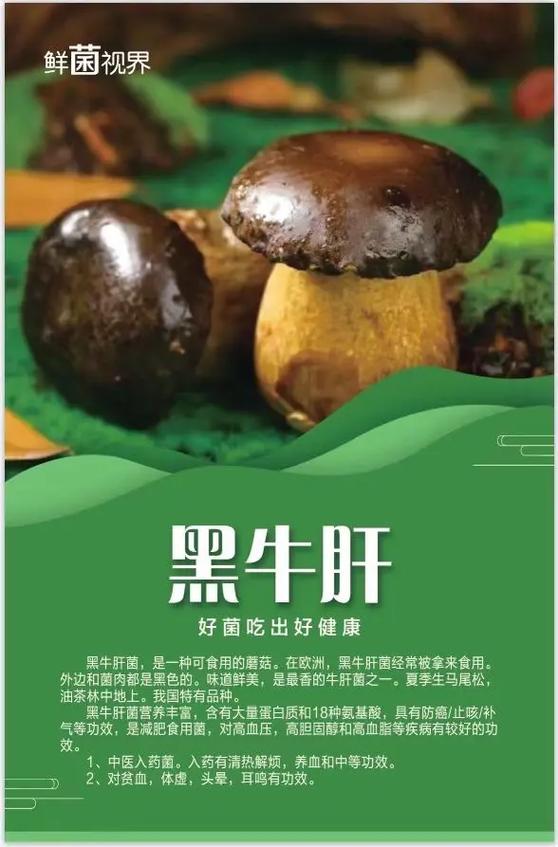 十大菌菇排名截图