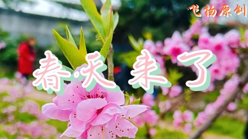 春天来了视频截图