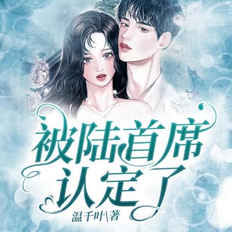 被陆首席认定了免费阅读无弹窗图标