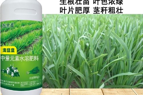 种韭菜用什么肥料最好图标