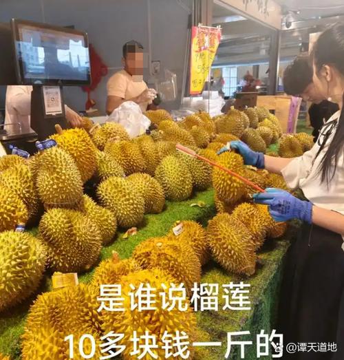 买榴莲最便宜的网站图标