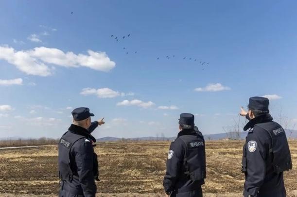 小鸟电动车报警器一直响图标