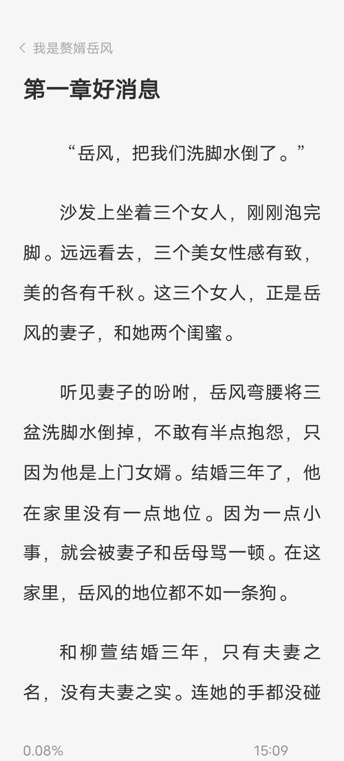 超级女婿岳风图标