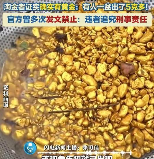 多淘金图标
