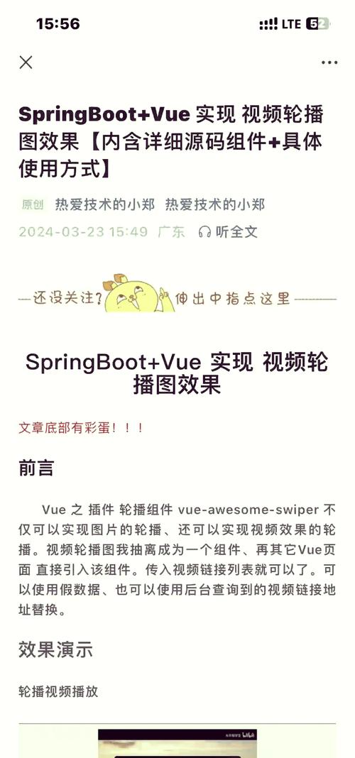 vue视频播放器图标