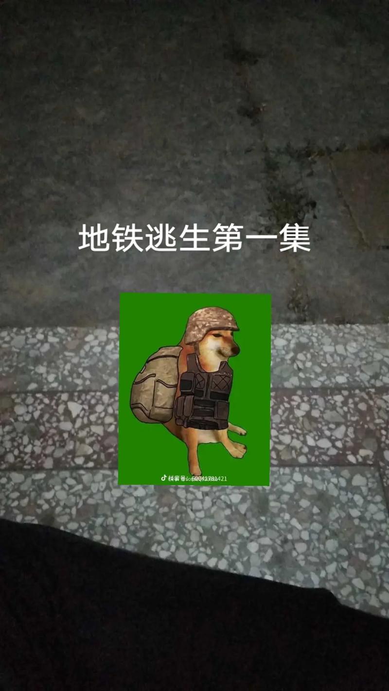 地铁逃生长视频图标