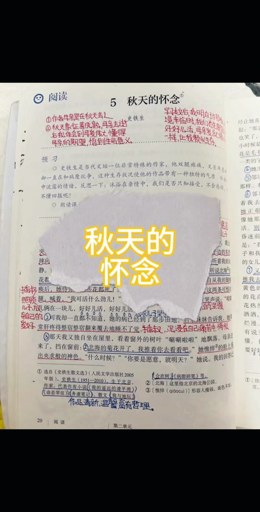 秋天的怀念全文阅读