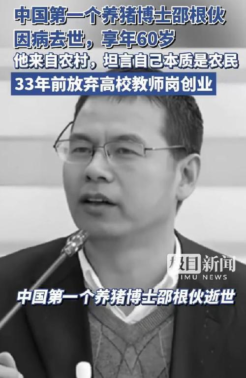 中国的养猪大王是谁图标