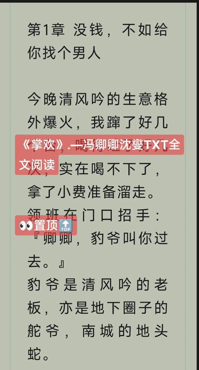 掌欢全文免费阅读最新章节图标