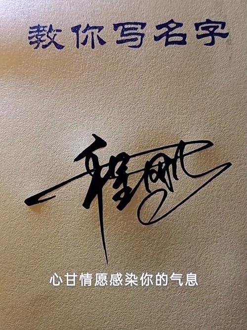 艺术签名视频截图